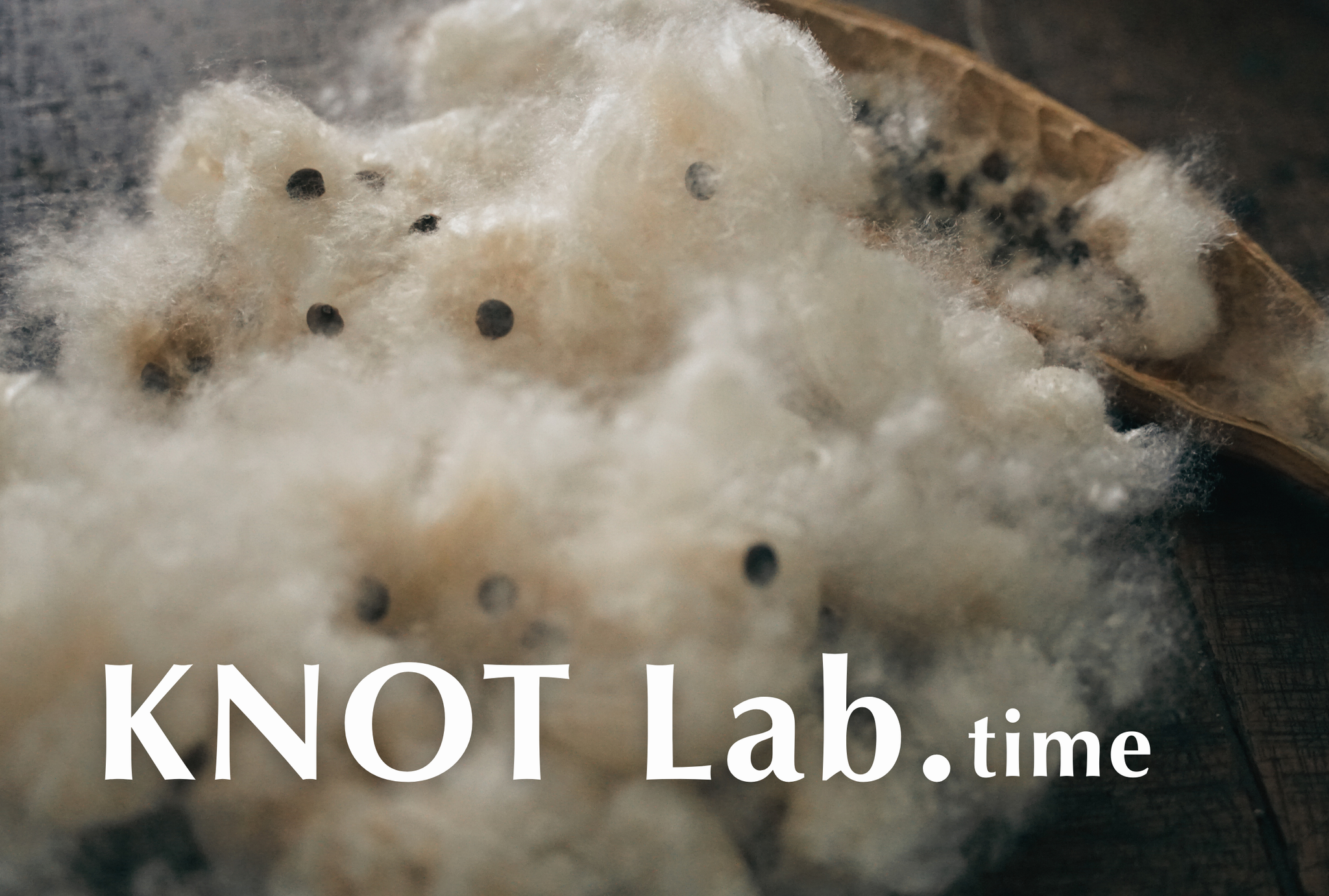 KNOT Lab. time Vol.1